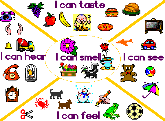5 SENSES Create WebQuest 5 SENSES Create WebQuest