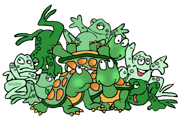 Animal Classification | Create WebQuest