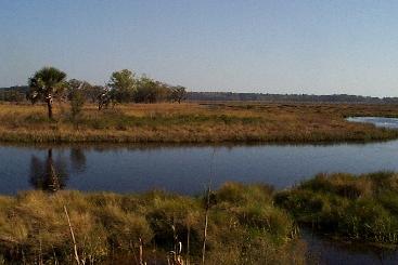Exploring South Carolina's Protected Lands | Create WebQuest